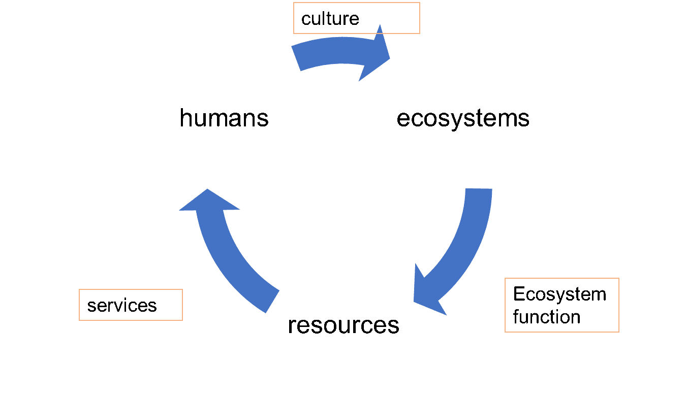 Ecosystem Services - Arava Institute for Environmental Studies